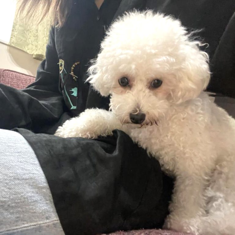 おすずに夢中！祖母の家にいる私の大好きな癒し